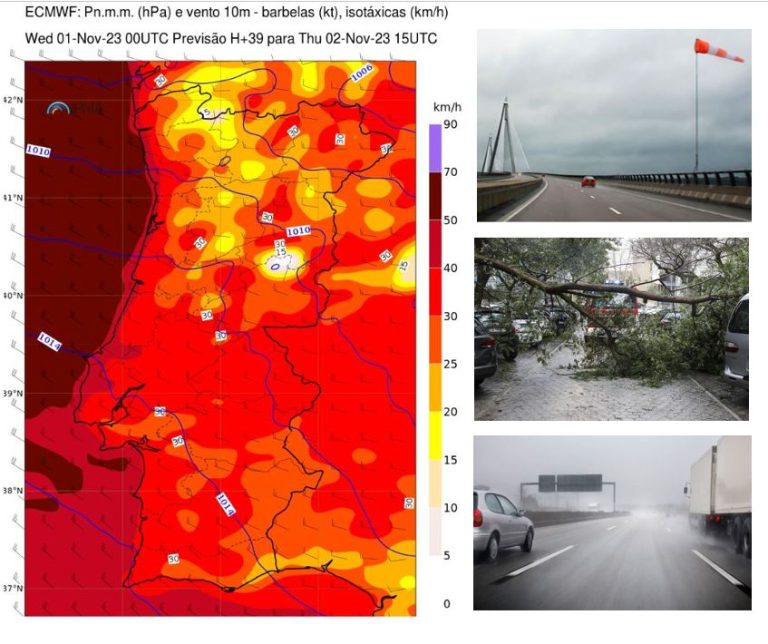 High wind gusts – Reducing the risk | Safe Communities Portugal