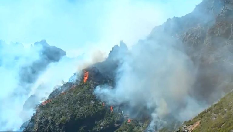 Madeira Fire 14th August 2024 | Safe Communities Portugal
