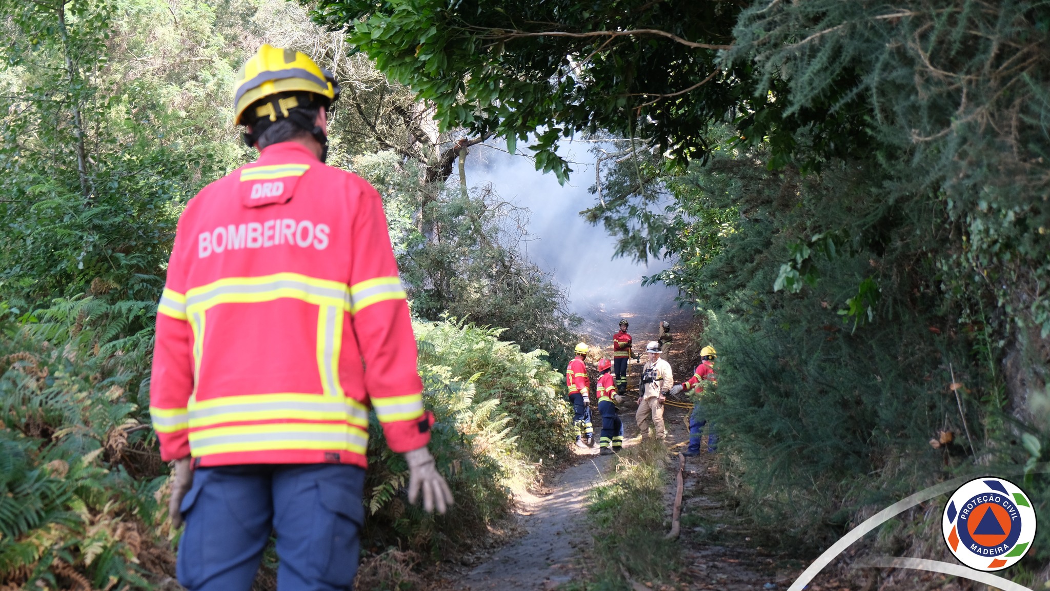 Madeira Fire 14th August 2024 | Safe Communities Portugal