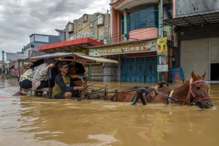 Natural disasters in 2024. The hottest year ever with more and more ...
